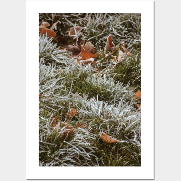 Fall's First Frost - Fall Leaves - Posters and Art Prints | TeePublic
