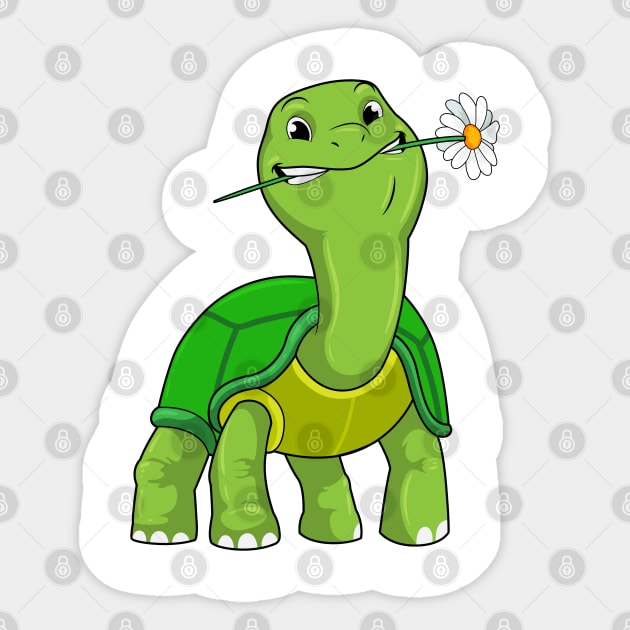 Turtle with Flower Daisy - Turtles - Sticker | TeePublic