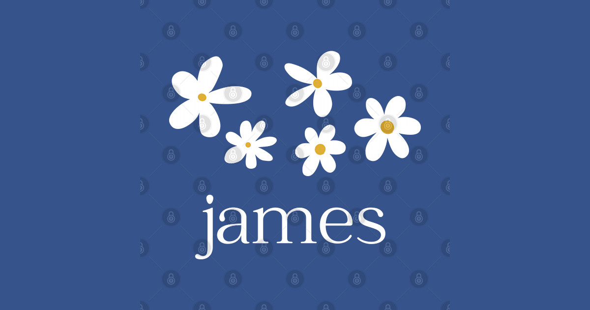 James band fanart - James Band - T-Shirt | TeePublic