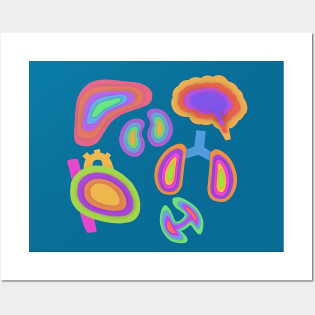 Layered 3D Paper Anatomic organs - Paper Anatomic Organs - Posters and ...