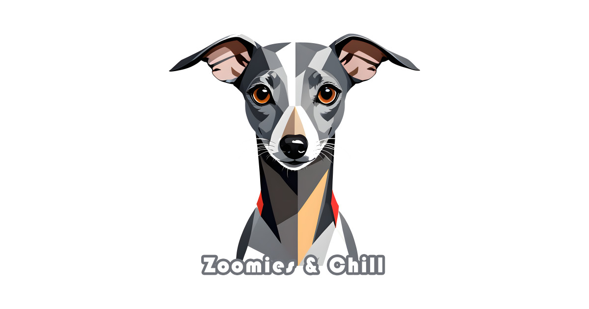 Zoomies and Chill - Zoomies And Chill - T-Shirt | TeePublic