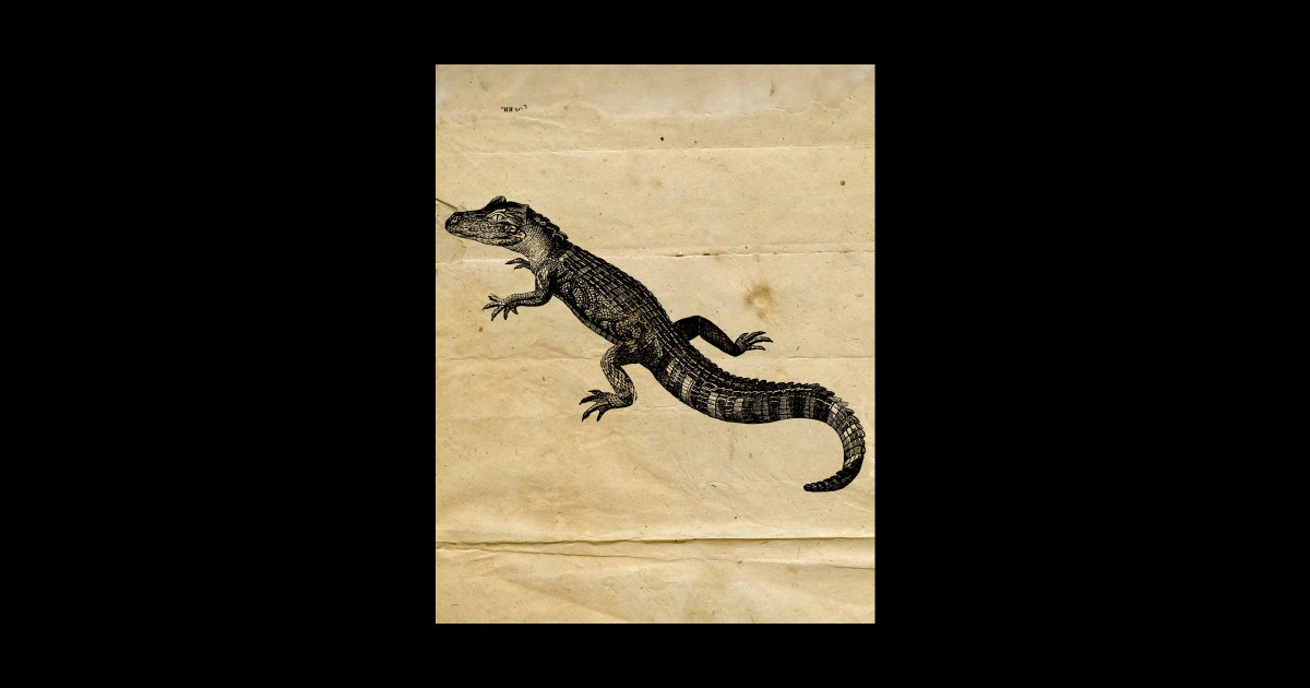 Alligator Reptile Vintage Black and White Illustration | Forest Wildlife reptile - Alligator ...