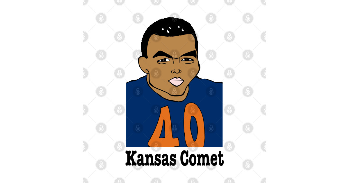 FOOTBALL LEGENDARY HALL OF FAME FAN ART - Gale Sayers Football Player ...