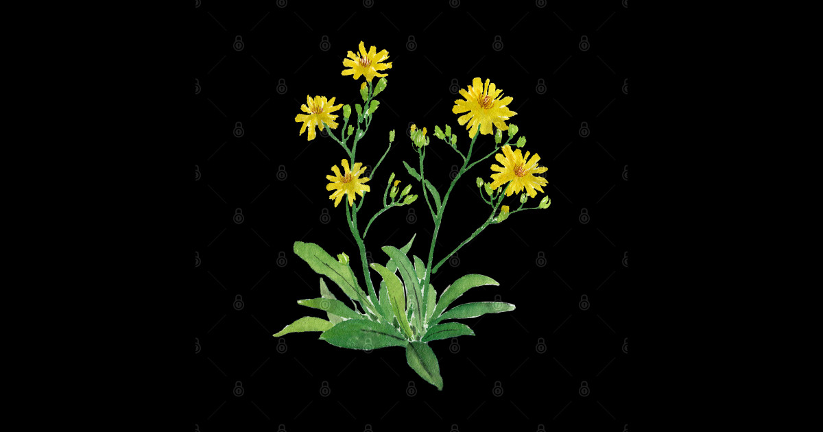 March 11th birthday flower - Birthday - Posters and Art Prints | TeePublic
