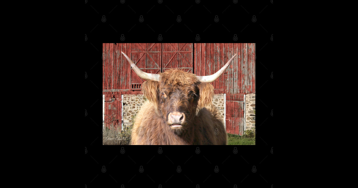 Oxbow Highland Cow A - Highland Cow - Sticker | TeePublic