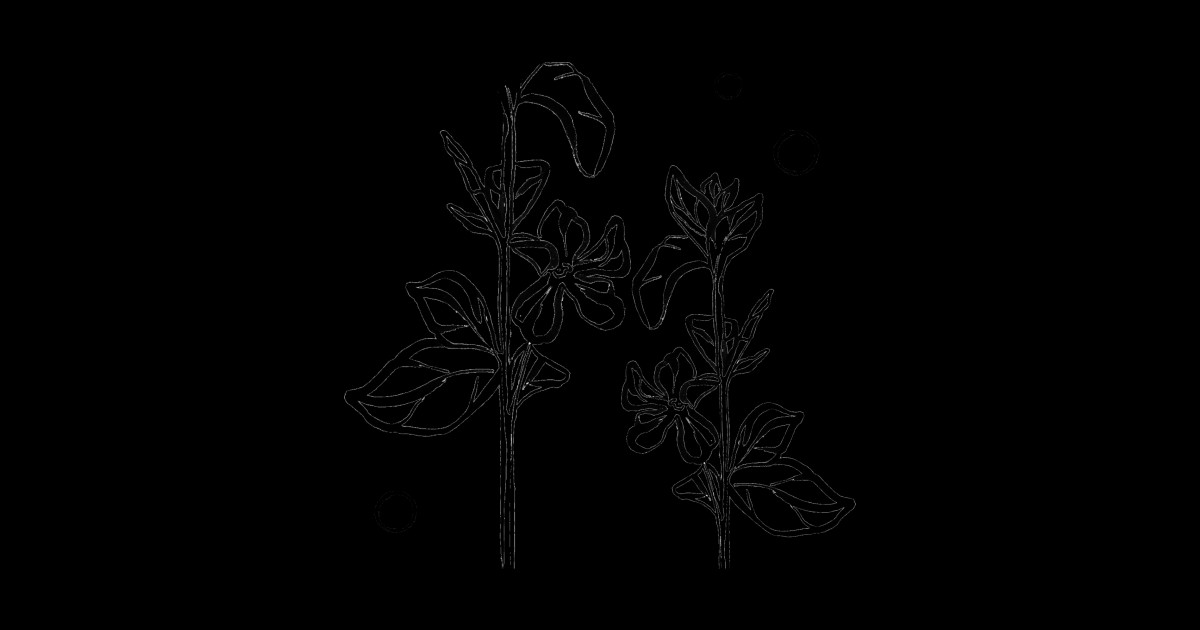 Spring flowers line drawing - Spring Flowers - Sticker | TeePublic