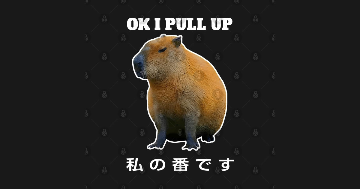 Ok I Pull Up Japanese Funny Capybara - Capybara Pull Up - T-Shirt ...