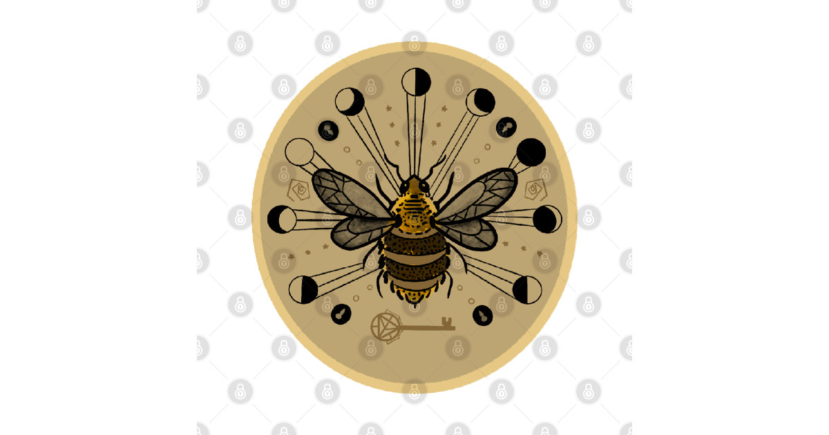 Bee and Moon Phases - Bee - T-Shirt | TeePublic