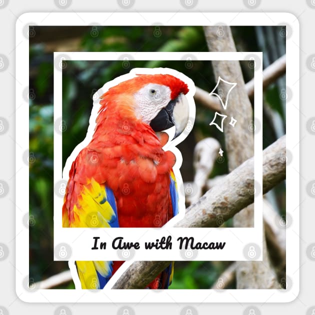 In Awe with Macaw - Birds - Sticker | TeePublic