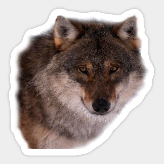 Wolf Face - Wolf - Sticker | TeePublic
