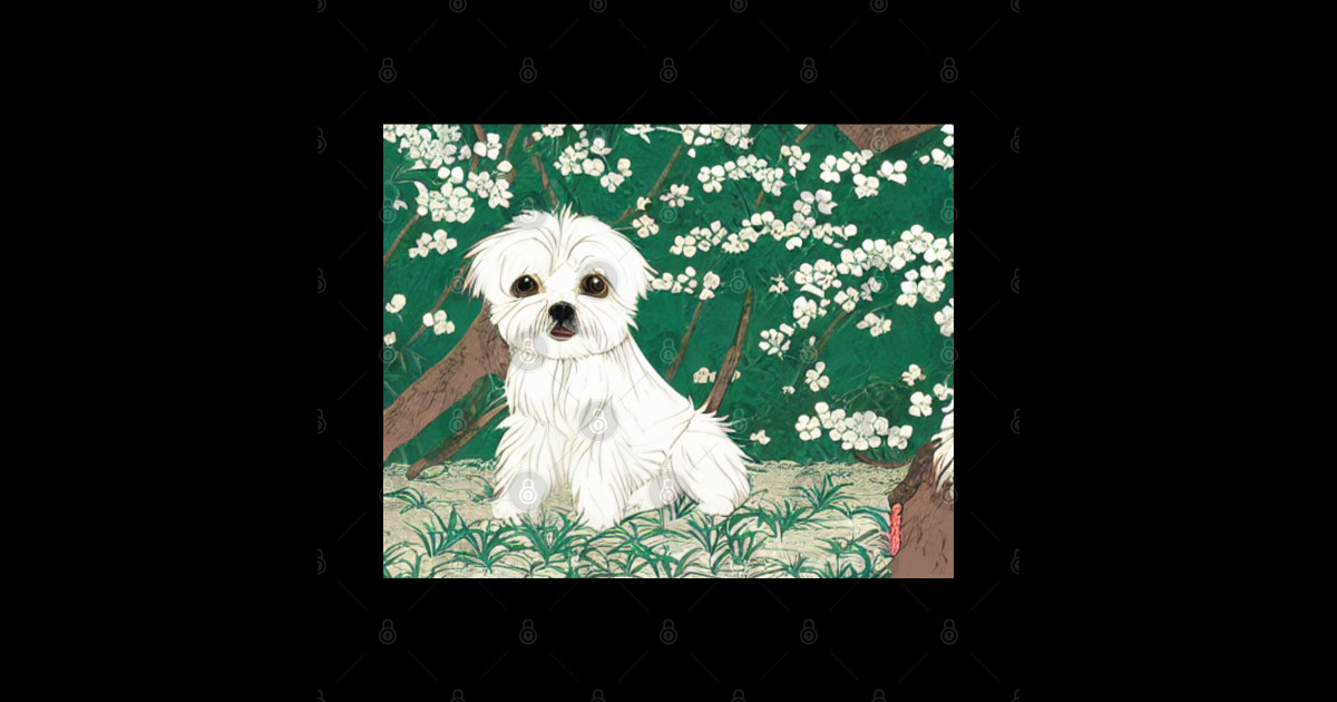 Cute Malshi Dog Shih Tzu Maltese Crusty White Dog Puppy in Garden ...