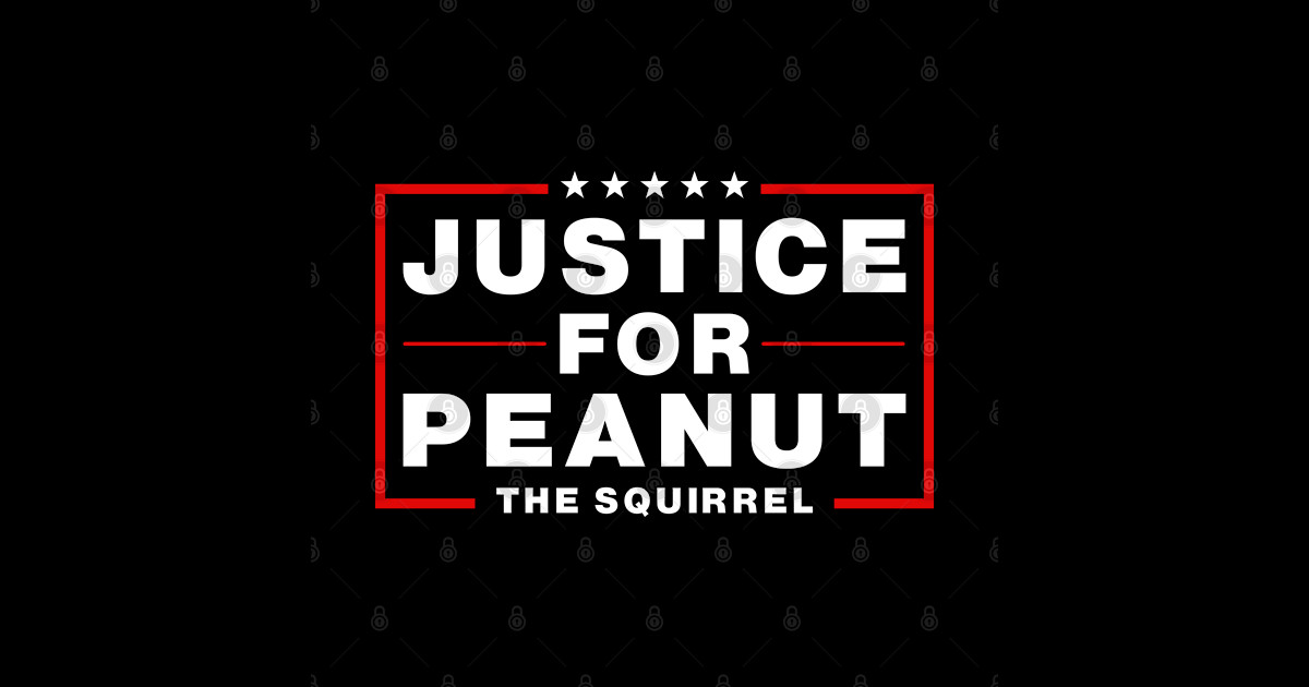 Justice For Peanut The Squirrel - Justice For Peanut The Squirrel ...
