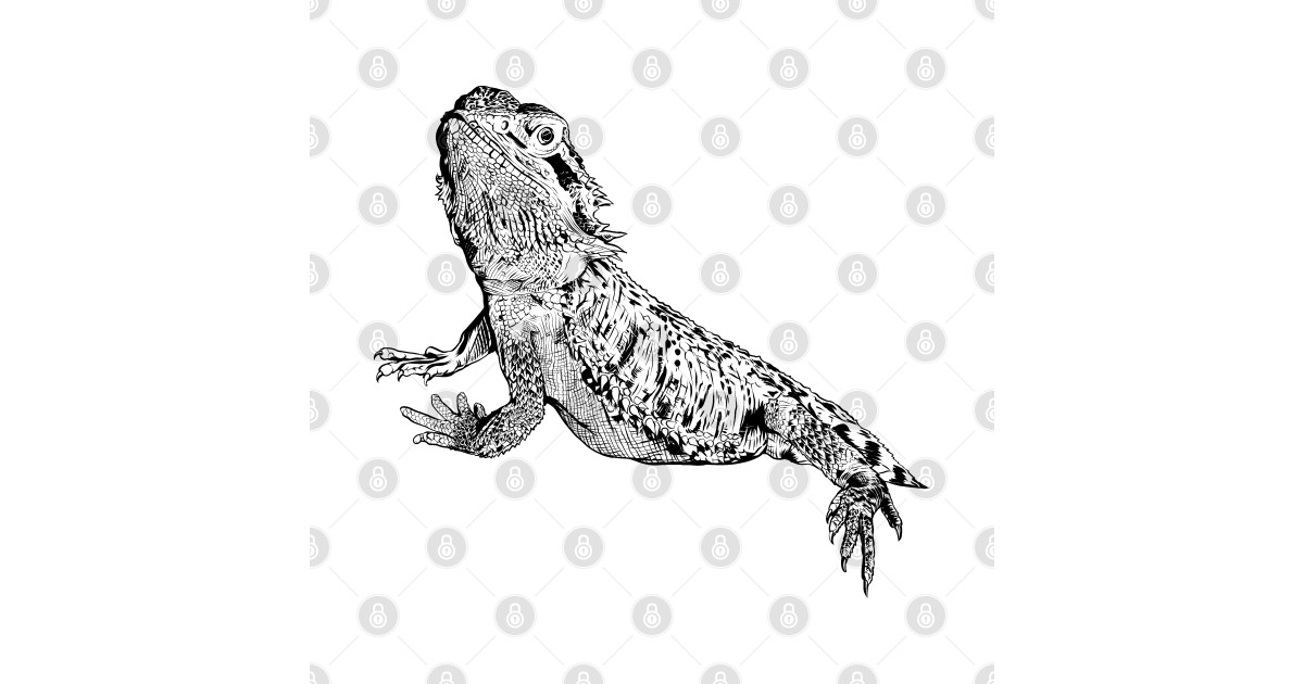 Line drawing - bearded dragon - Bearded Dragon - T-Shirt | TeePublic