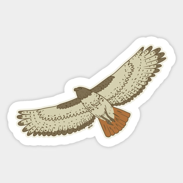red tailed hawk - Doodle - Sticker | TeePublic