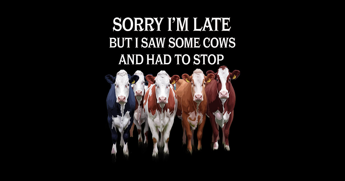 SORRY I'M LATE BUT I SAW SOME COWS AND HAD TO STOP - Sorry Im Late But ...
