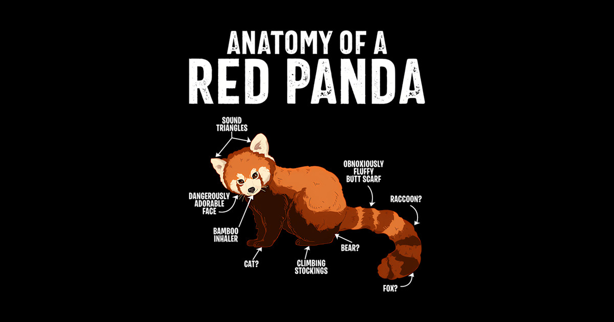 Red Panda Red Pandas - Red Panda - Sticker | TeePublic