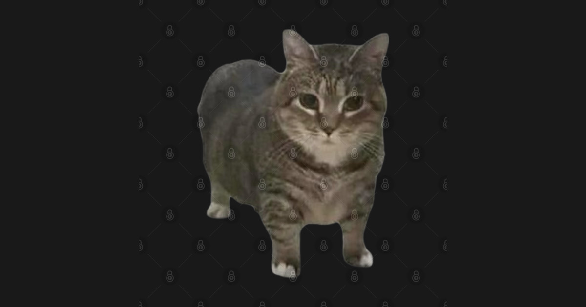 Funny oiiai cat oiia | Spinning Cat Meme - Cat Meme - T-Shirt | TeePublic