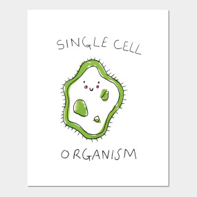 CUTE CELL - Cell Biology - T-Shirt | TeePublic