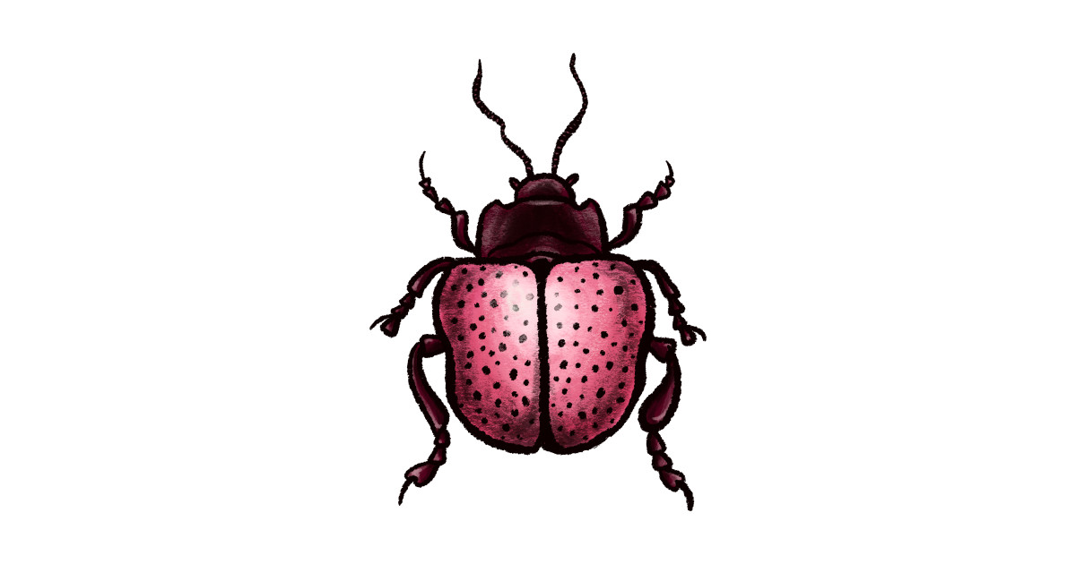 Pink Beetle With Dots Insect Art - Insect Art - T-Shirt | TeePublic