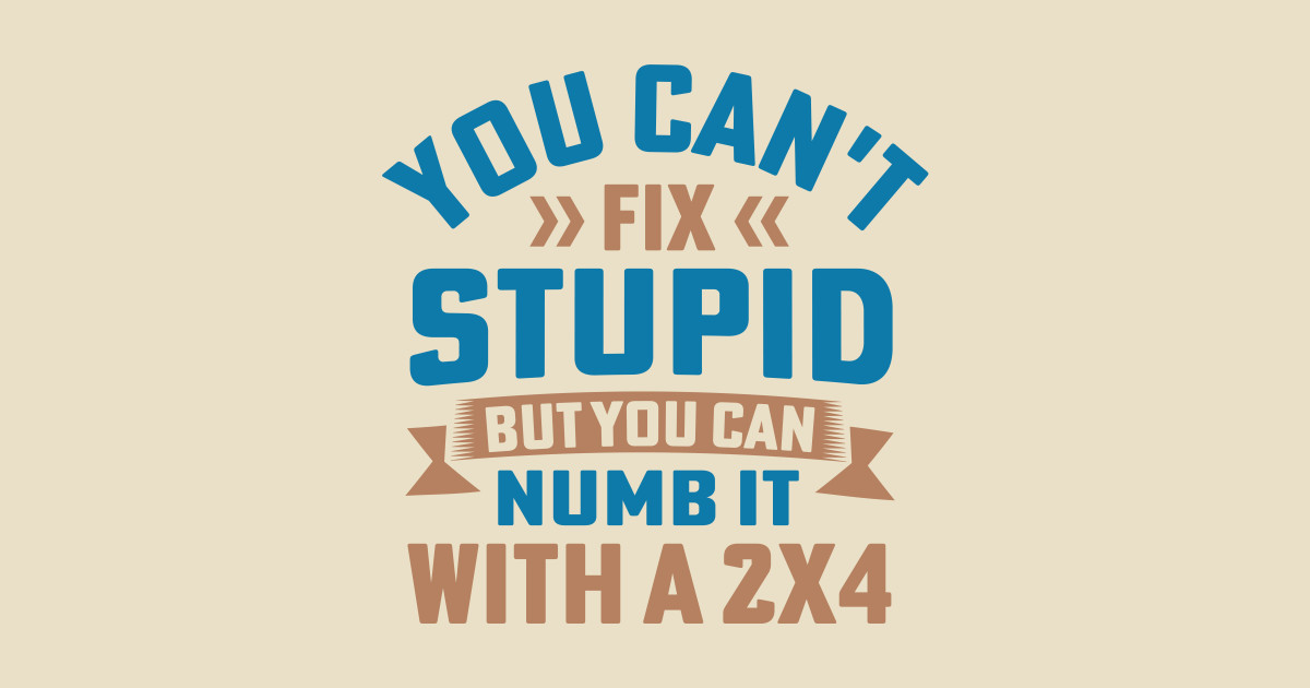 You Can't Fix Stupid But You Can Numb It With A 2X4 - You Cant Fix ...