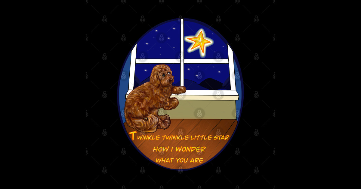 Nursery rhyme twinkle twinkle little star Cavapoo puppy dog - cavalier ...