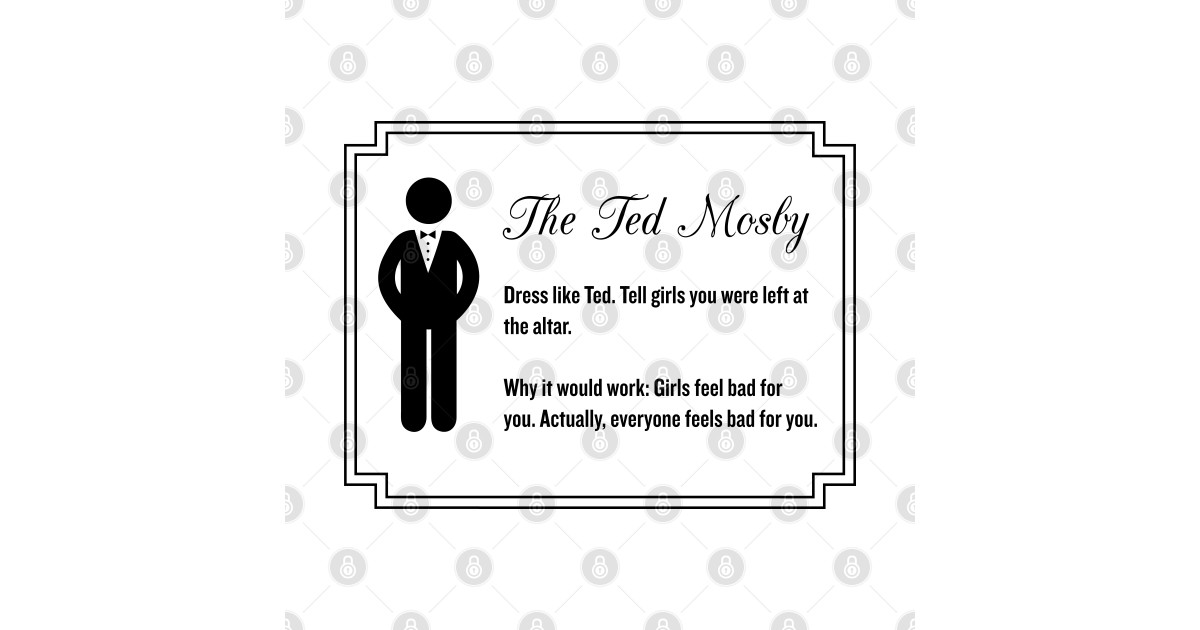The Ted Mosby - From the Playbook of Barney Stinson - Ted - T-Shirt ...