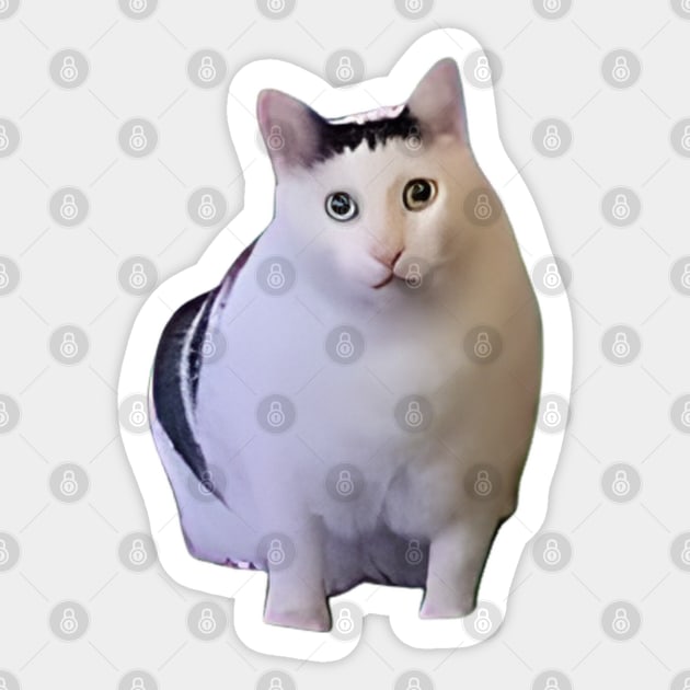Huh! Cat Meme - Memes - Sticker | TeePublic