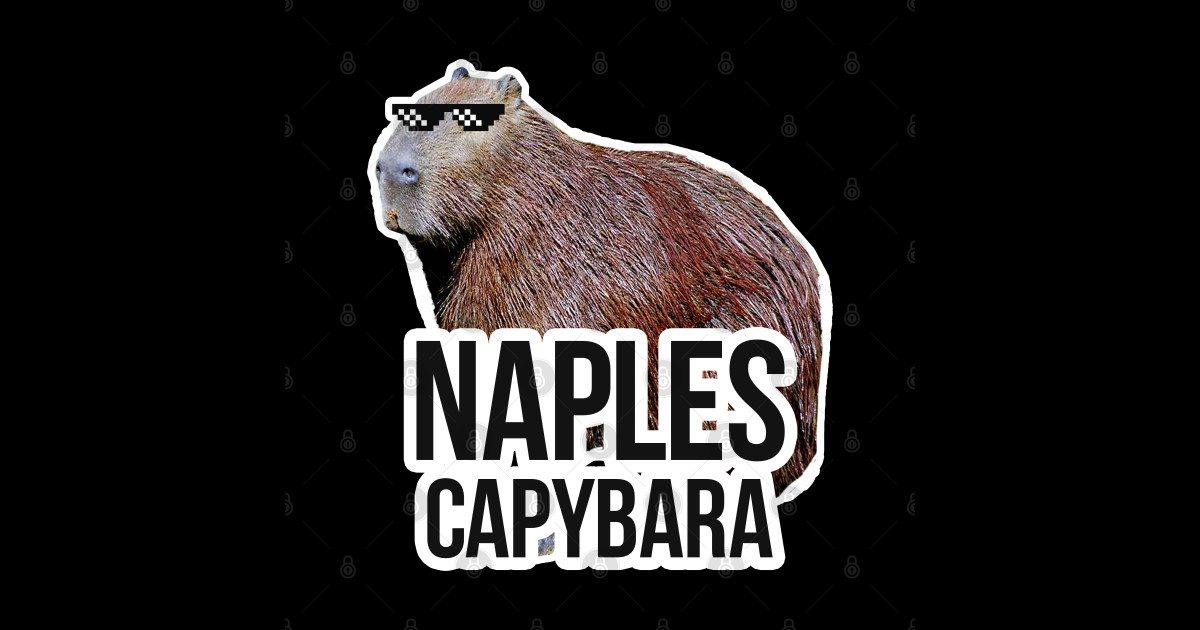 Naples capybara meme - Naples - Sticker | TeePublic