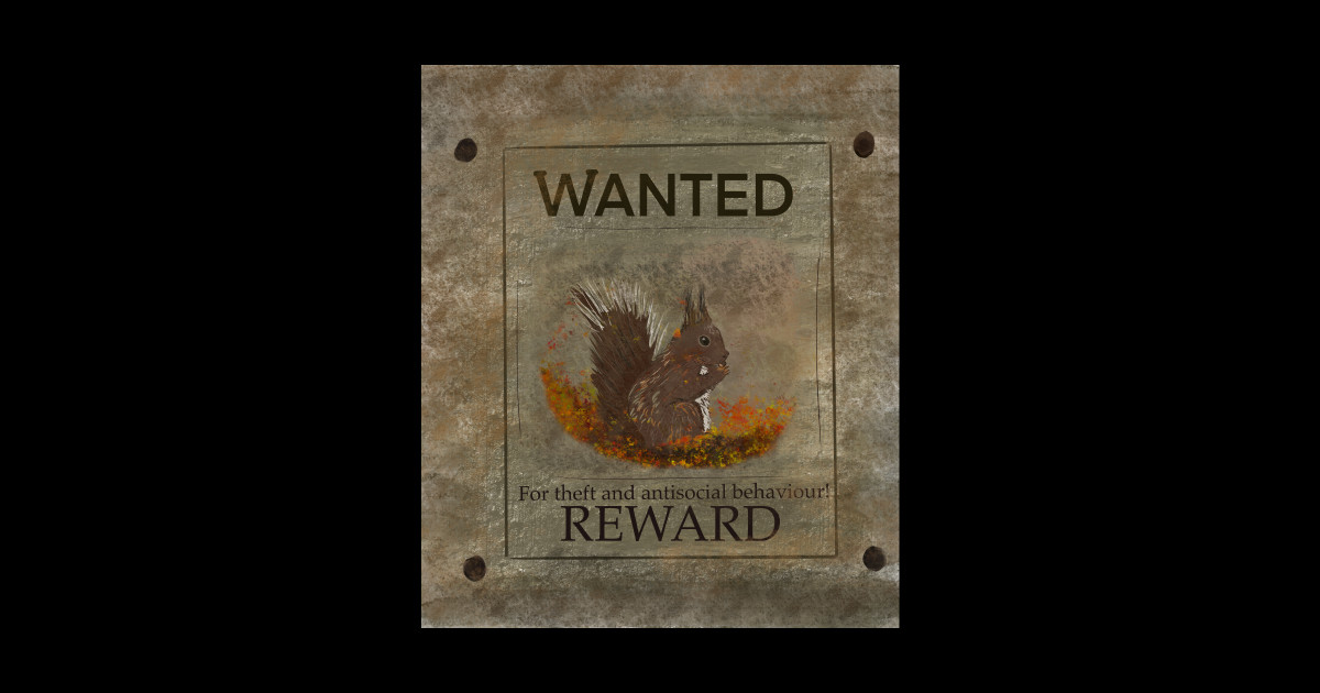 Wanted squirrel poster - Novelty - Sticker | TeePublic