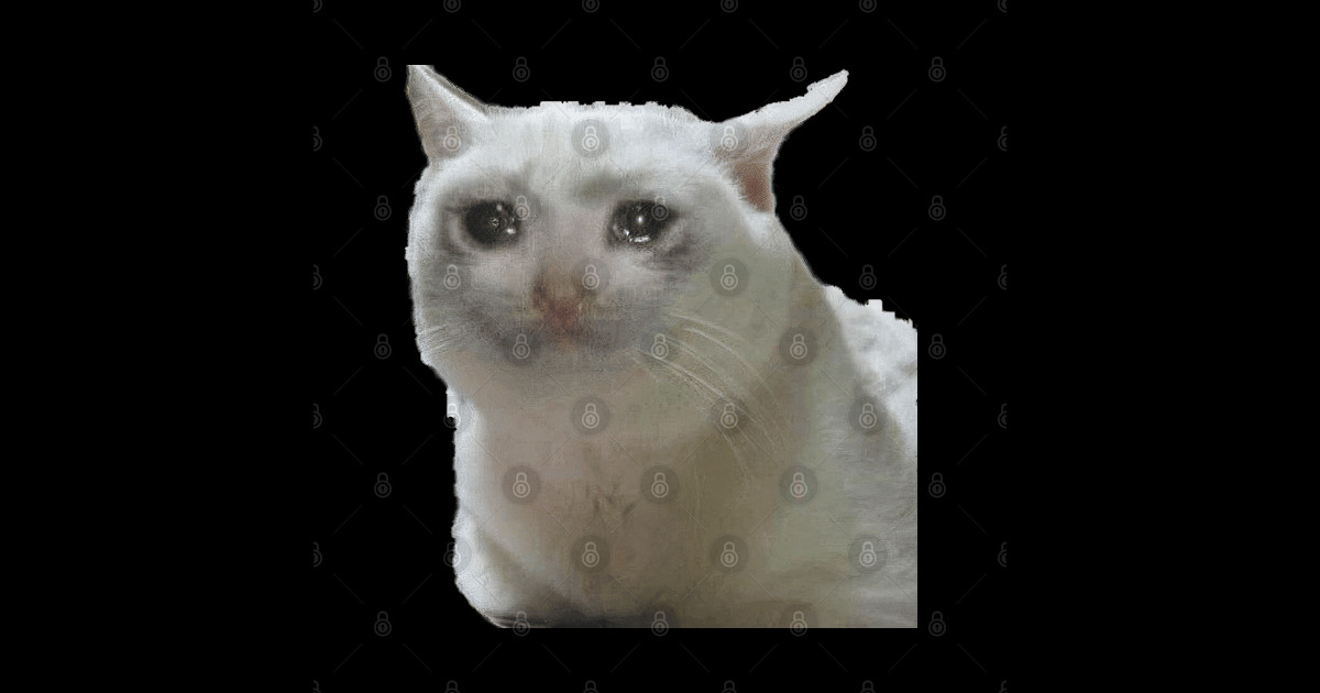 Sad Cat Meme - Sad Cat Meme - Posters and Art Prints | TeePublic