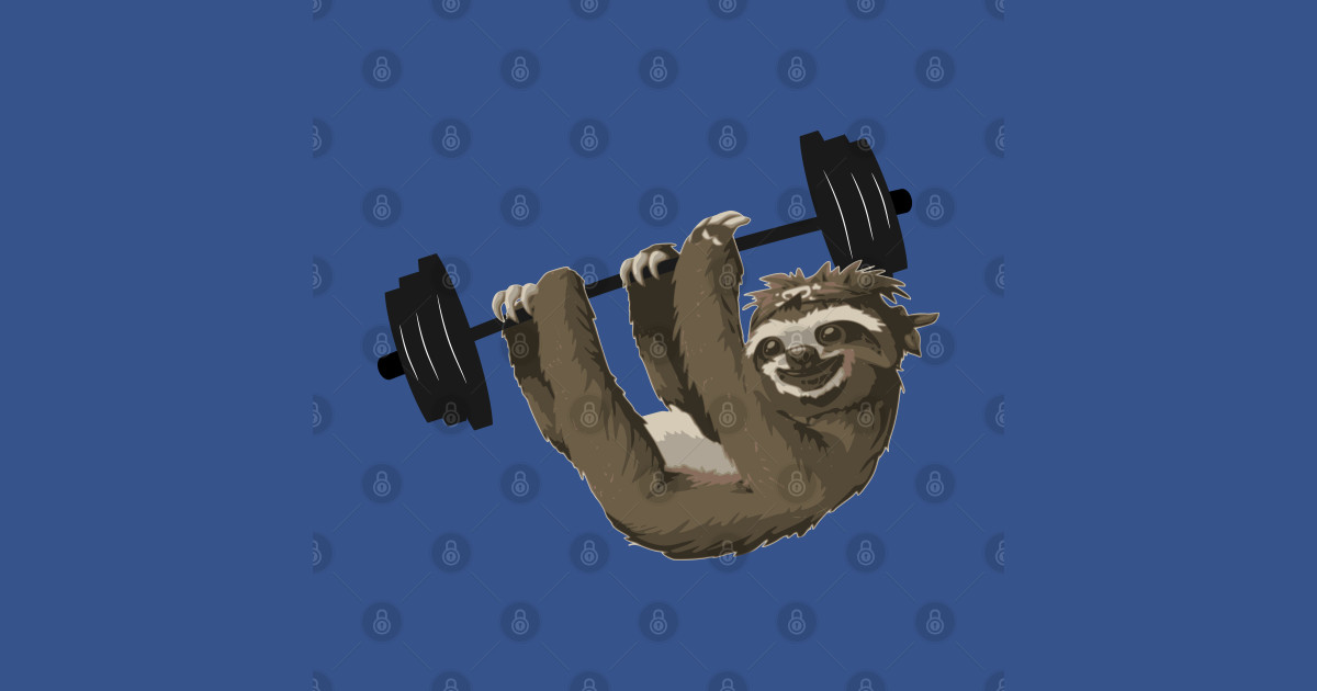 Weightlifting Sloth - Funny Workout Cartoon - Sticker | TeePublic