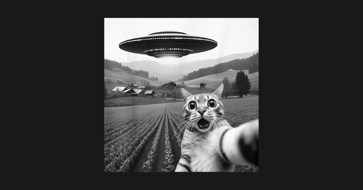 Cat Selfie With Alien UFO & Funny Meme - Cat Selfie With Alien Ufo - T ...