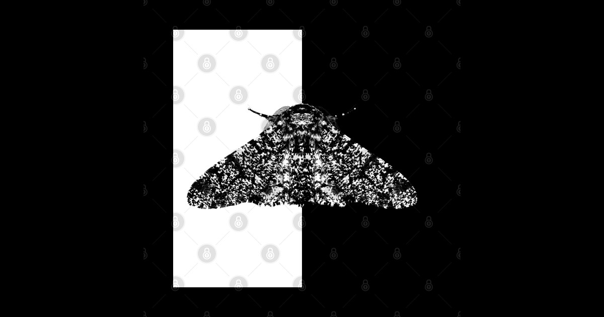 Peppered Moth - Peppered Moth - Sticker | TeePublic