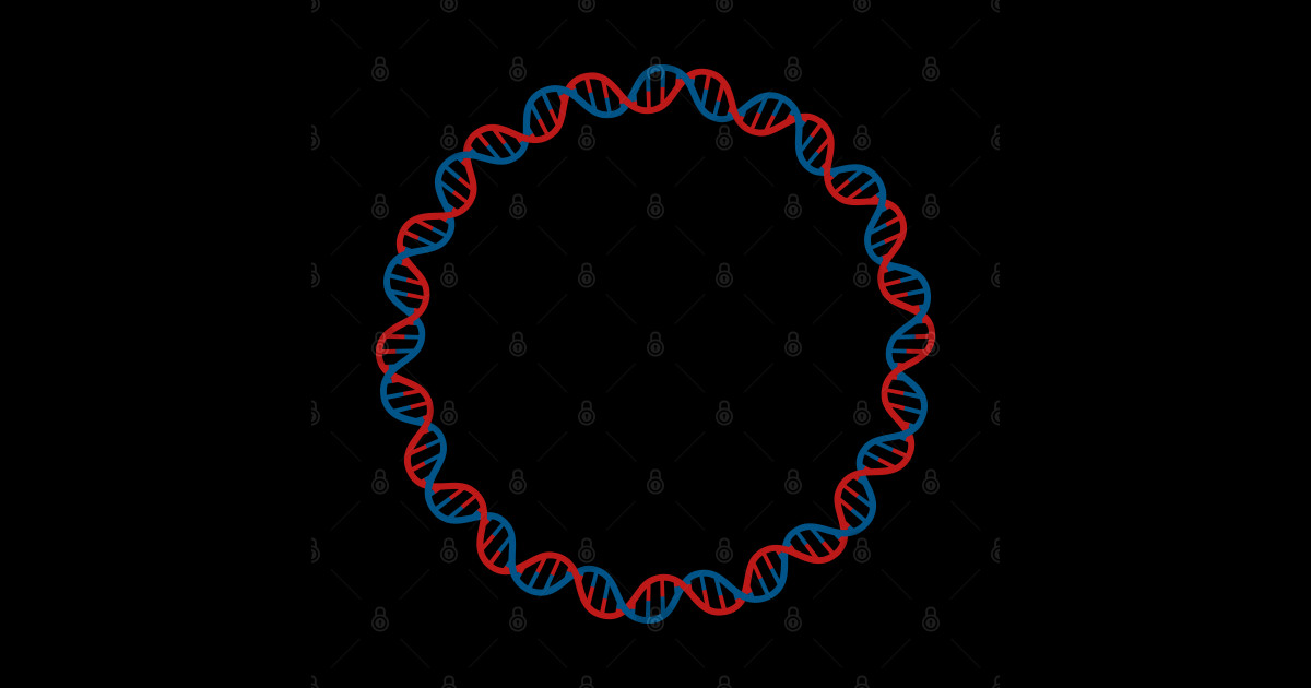 Circular DNA Double Stranded - Circular Dna Double Stranded - Sticker ...