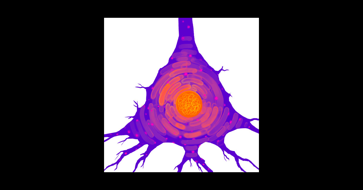 Pyramidal neuronal cell with endoplasmatic reticulum - Neuron - Posters ...