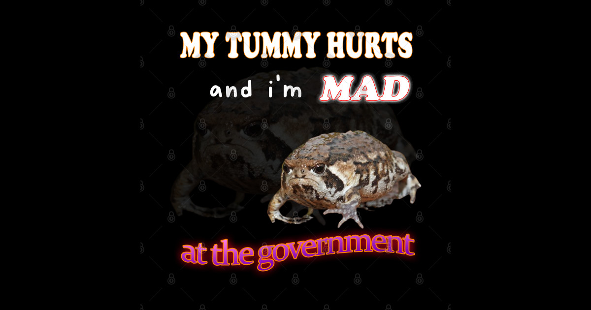 My Tummy Hurts And I'm MAD At The Government Meme - My Tummy Hurts And ...