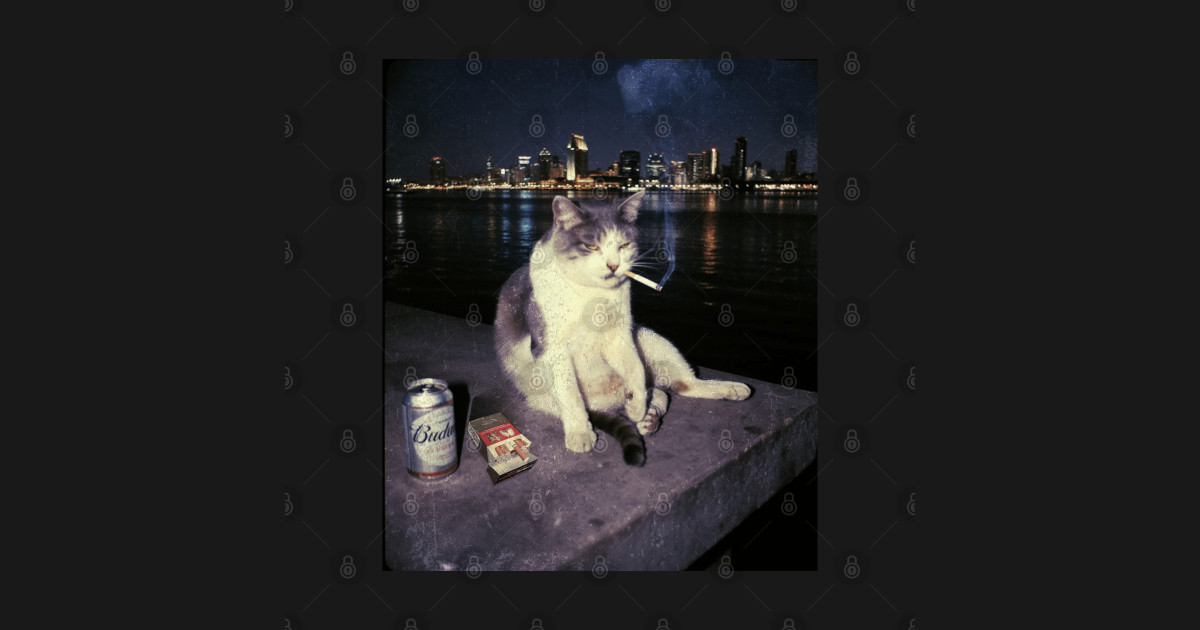 Brainrot Cat smoking meme 2025 funny - Brainrot Cat Smoking - T-Shirt ...