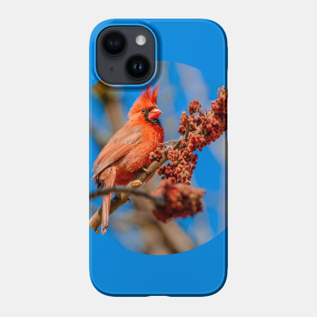 Hungry Cardinal Bird Photograph - Cardinal - Phone Case | TeePublic