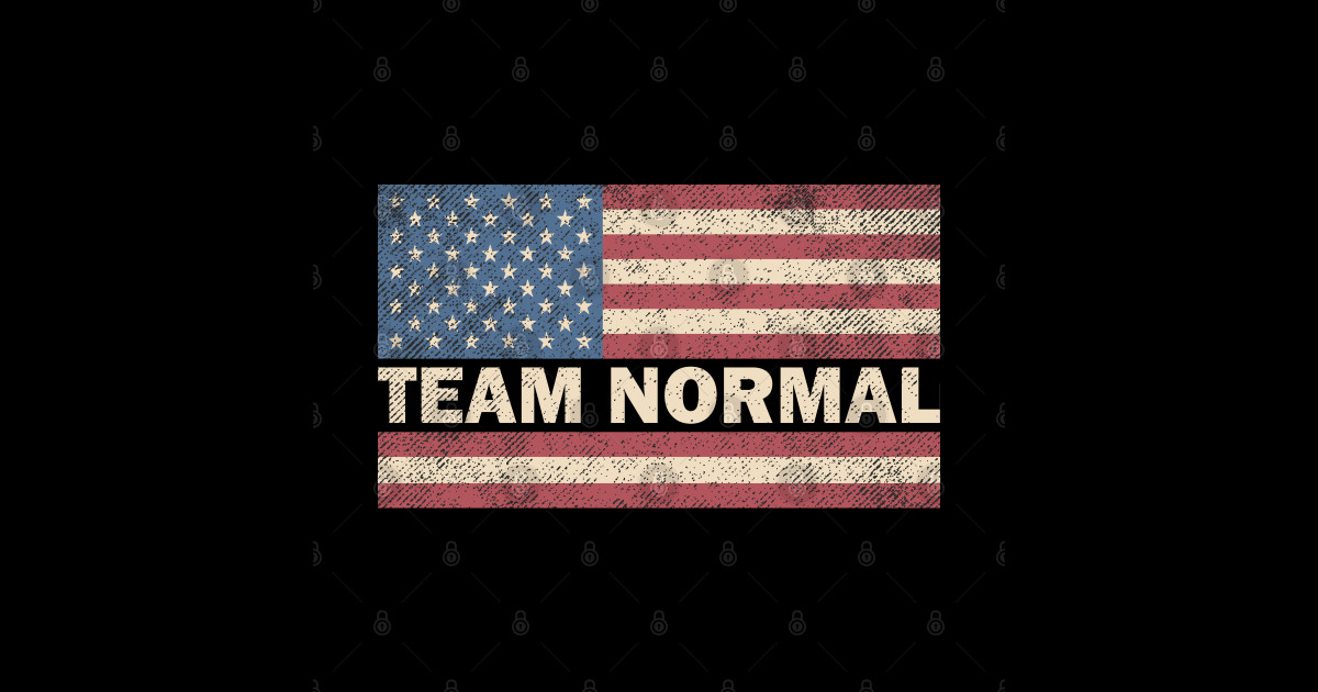 Team Normal USA Flag - Team Normal - T-Shirt | TeePublic