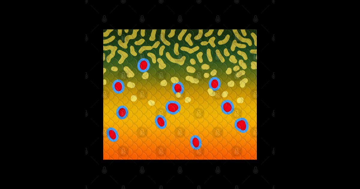 Brook Trout Color Pattern Mountain Art Trout Fly Fishing Gift - Brook ...