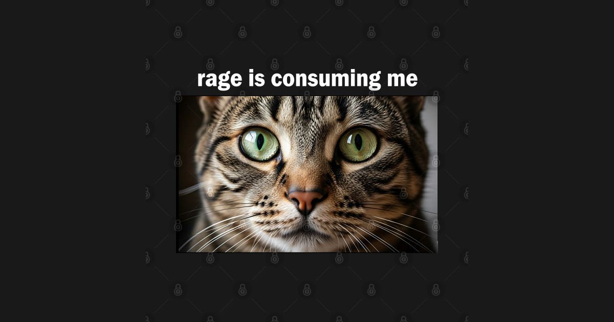 Rage Is Consuming Me Silly Staring Cat Meme - Cat Meme - T-Shirt ...