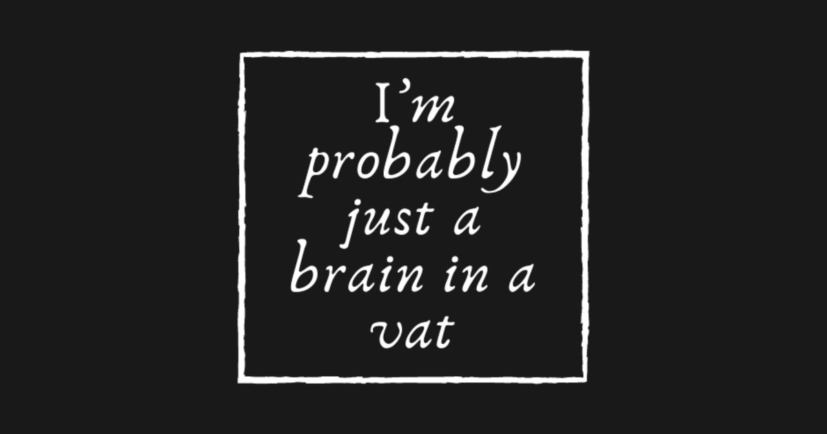 I'm probably just a brain in a vat - Philosophy Humor - Hoodie | TeePublic
