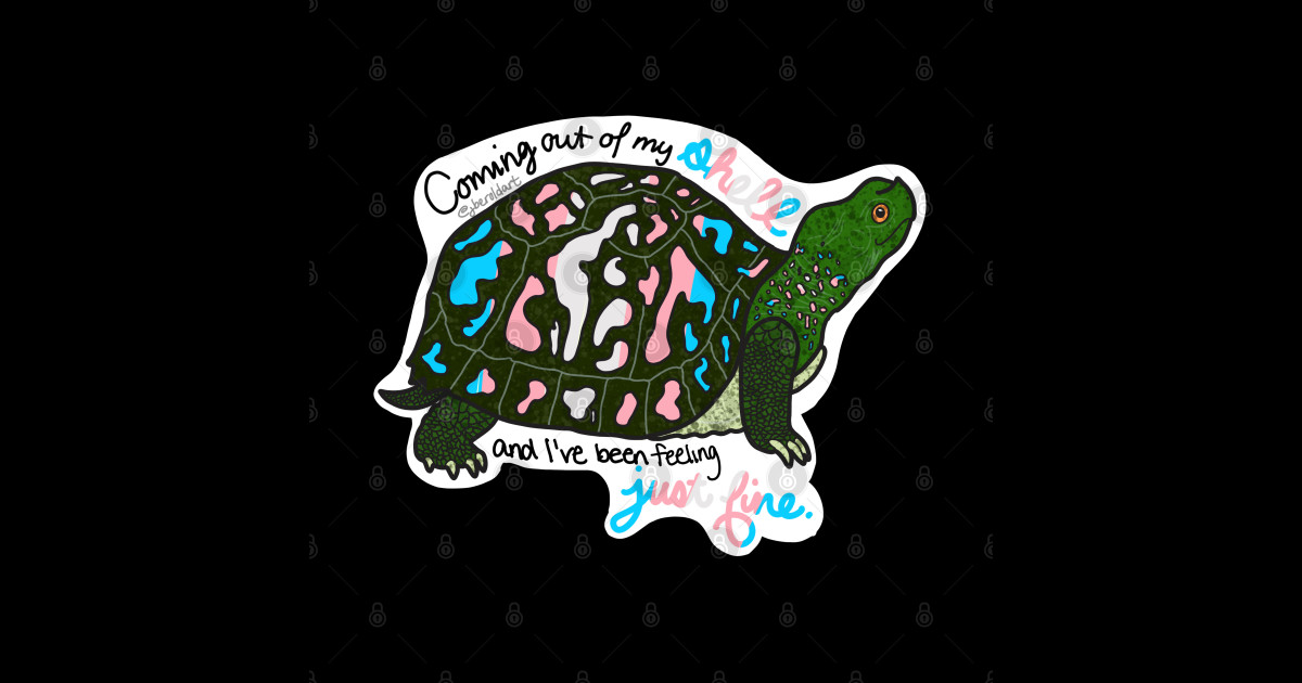 Trans* Pride Turtle - Turtle - Sticker | TeePublic