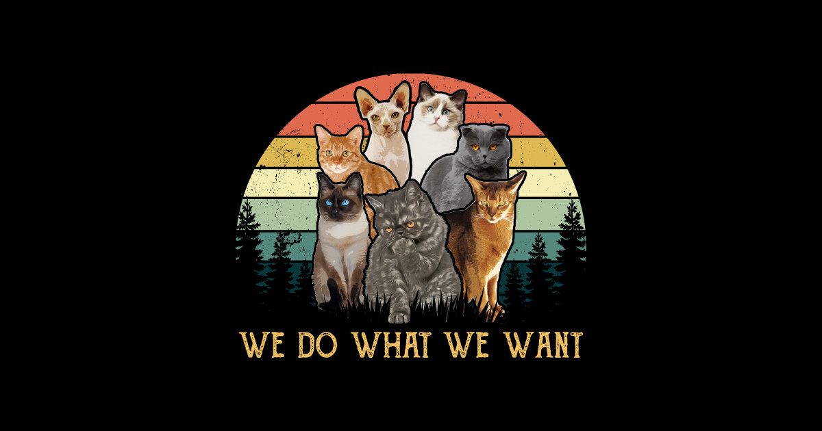 We Do What We Want Funny Gifts for Cat Lovers - I Do What I Want Cat ...