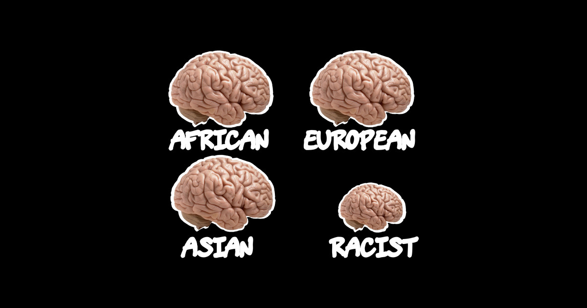 Human Brains vs Racist Brain - Racist - Sticker | TeePublic