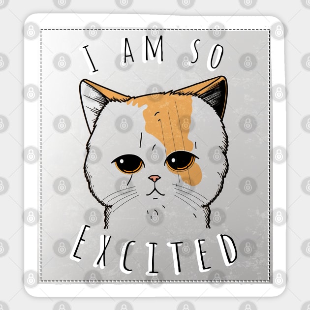 Cute Cat Excited Face - Cat - Sticker | TeePublic