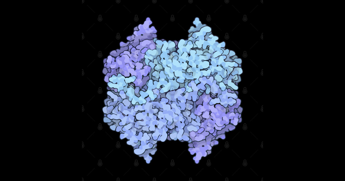 Lactate Dehydrogenase protein structure - Protein Structure - Sticker ...