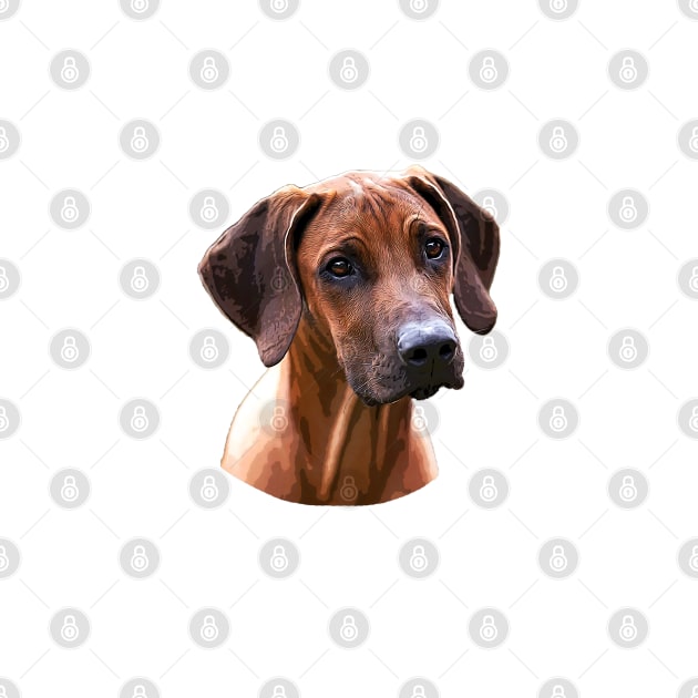 Rhodesian Ridgeback The Lion Hunting Dog - Rhodesian Ridgeback - T ...
