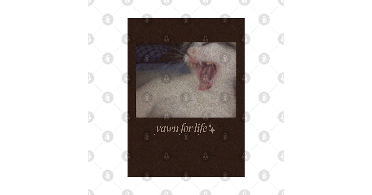yawning cat meme - Cat Memes - T-Shirt | TeePublic