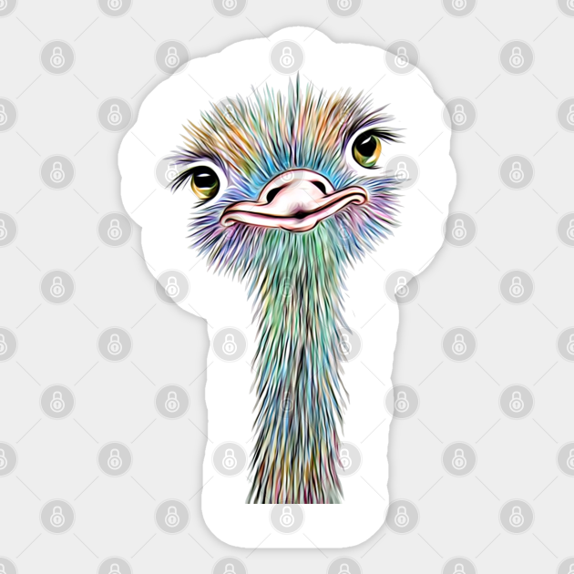 Goofy Colorful Ostrich For Ostrich Lovers - Ostrich Lover Gifts ...